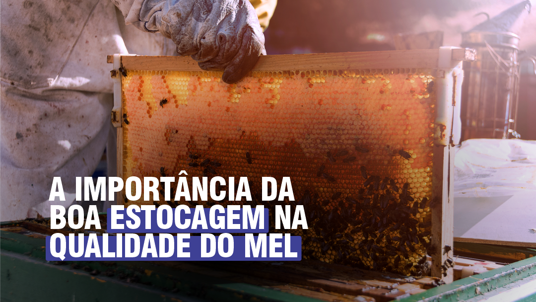A IMPORTÂNCIA DA BOA ESTOCAGEM NA QUALIDADE DO MEL - Emplasul