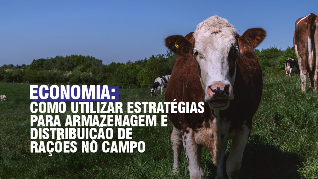ECONOMIA: SAIBA COMO UTILIZAR ESTRATÉGIAS INTELIGENTES PARA ARMAZENAGEM ... ECONOMIA: SAIBA COMO UTILIZAR ESTRATÉGIAS INTELIGENTES PARA ARMAZENAGEM ...